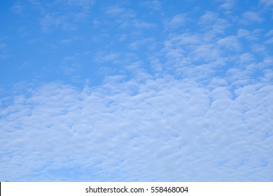 Cloud Texture Look Like Fish Scale Stock Photo 558468004 | Shutterstock