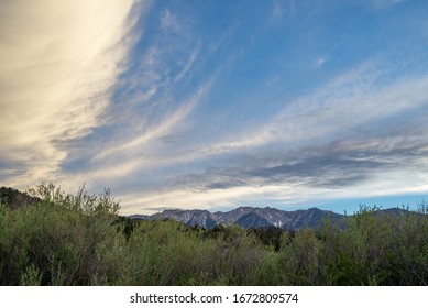 23,987 White Pine Range Images, Stock Photos & Vectors | Shutterstock