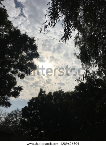 Clouds Sun Sky Trees Stock Photo 1289626504 | Shutterstock