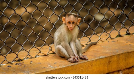 Stock Photo and Image Portfolio by spgm501 | Shutterstock