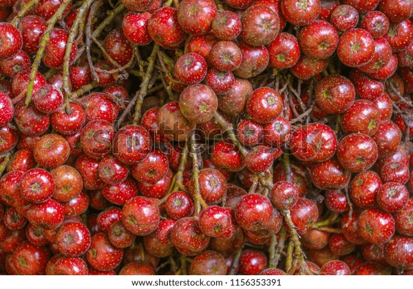Cluster Fig Fruit Stock Photo 1156353391 | Shutterstock