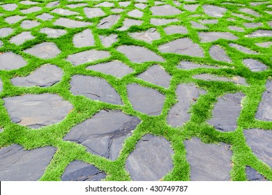 Cobblestone Grass Texture Stone Path Road Stock Photo 430749787 ...