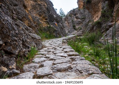 Cinc Images, Stock Photos & Vectors | Shutterstock