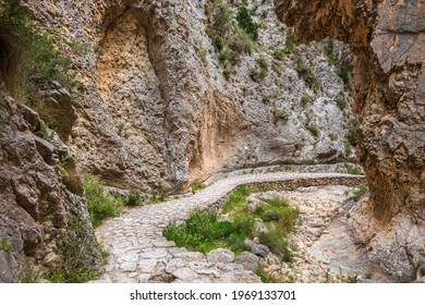 Cinc Images, Stock Photos & Vectors | Shutterstock