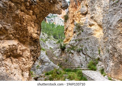 Cinc Images, Stock Photos & Vectors | Shutterstock