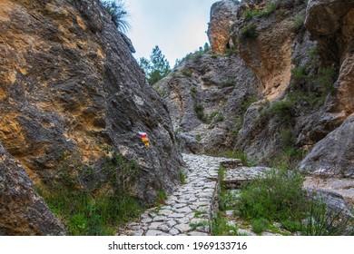 Cinc Images, Stock Photos & Vectors | Shutterstock