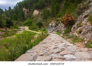 Cinc Images, Stock Photos & Vectors | Shutterstock