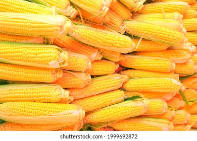 763 Corn Husk Stack Images, Stock Photos & Vectors | Shutterstock
