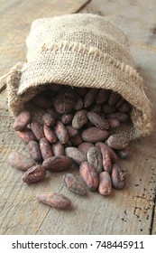 Cocoa Stock Photo 748445911 | Shutterstock