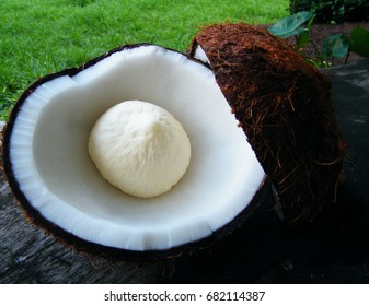 334 Coconut Embryo Images, Stock Photos & Vectors | Shutterstock