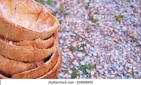 Coconut Empty Shells Stock Photo 624008969 | Shutterstock