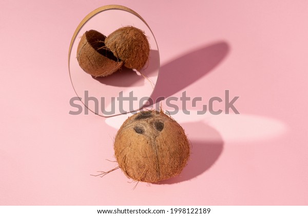 Coconut Mirror Broken Reflection Creative Food Stock Photo 1998122189 ...