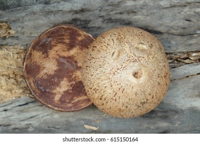 78 Coconut slivers Images, Stock Photos & Vectors | Shutterstock