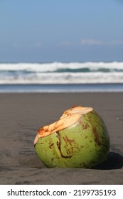 399 Coconut Rolling On Beach Images, Stock Photos & Vectors | Shutterstock