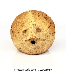 Coconut Shell Monkey Face Isolated On Stock Photo 722725969 | Shutterstock