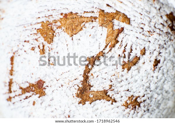 Coconut Shell Coconut Scraper Make Coconut Stock Photo 1718962546 ...
