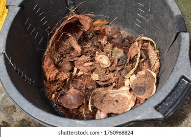 Coconut Shell Shards Container Stock Photo 1750968824 | Shutterstock