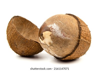 6,847 Split shell Images, Stock Photos & Vectors | Shutterstock