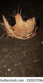 21,819 Coconut Shell Texture Images, Stock Photos & Vectors | Shutterstock