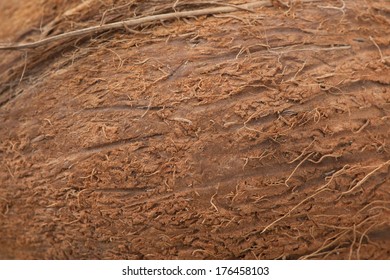 28,798 Skin coconut Images, Stock Photos & Vectors | Shutterstock