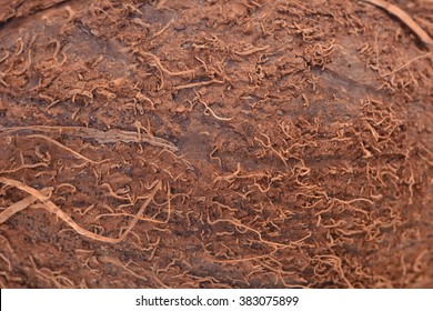 21,819 Coconut Shell Texture Images, Stock Photos & Vectors | Shutterstock