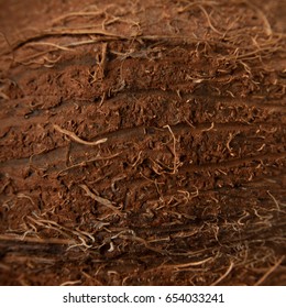 Coconut Texture Closeup Stock Photo (Edit Now) 60543655