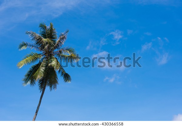 Coconut Tree Cloud Blue Sky Background Stock Photo 430366558 | Shutterstock