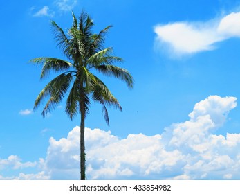Coconut Tree Clouds Sky Background Stock Photo 433854982 | Shutterstock