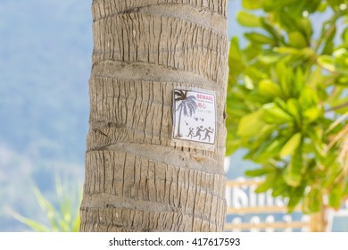 59 Beware Falling Coconut Images, Stock Photos & Vectors | Shutterstock