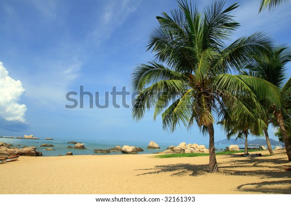 Coconut Trees Beach Stock Photo (Edit Now) 32161393