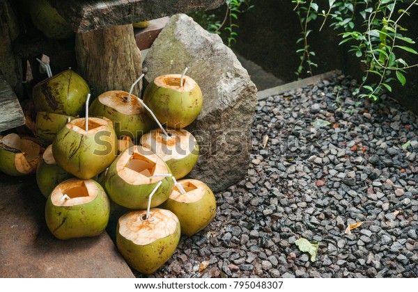 Coconuts Empty Coconut Without Milk Straws Stock Photo 795048307 ...