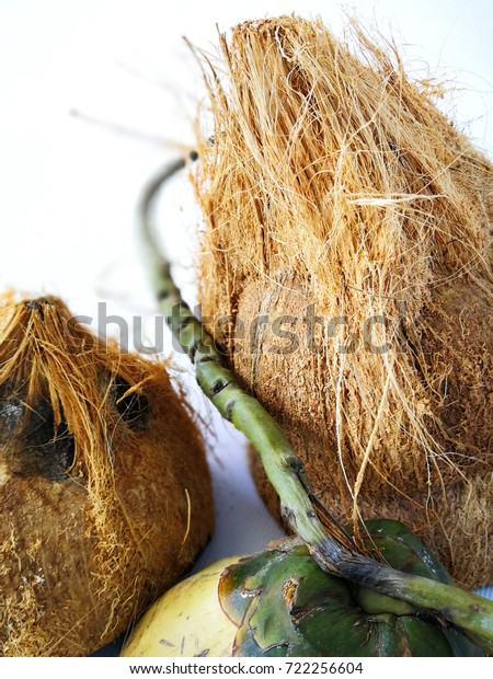 Coconuts Shell On Isolated White Background Stock Photo 722256604 ...
