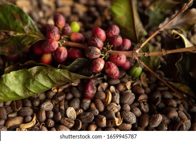 Granos de café con verdaderas frutas Foto de stock 410441767 | Shutterstock