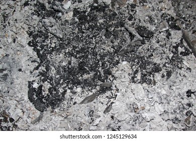 Cold Ash Cold Fire Background Stock Photo 1245129634 | Shutterstock