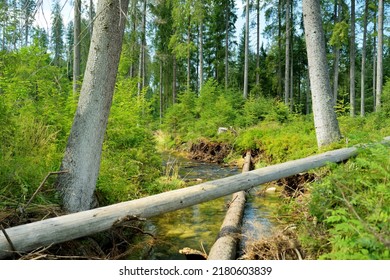 5,399 Shallow mountain stream Images, Stock Photos & Vectors | Shutterstock