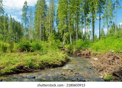5,399 Shallow mountain stream Images, Stock Photos & Vectors | Shutterstock