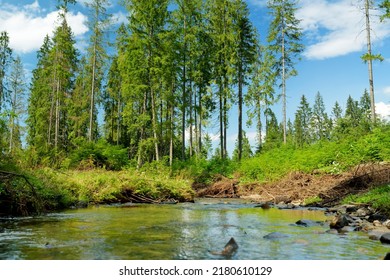 5,399 Shallow mountain stream Images, Stock Photos & Vectors | Shutterstock