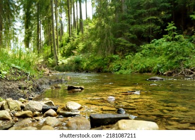 5,399 Shallow mountain stream Images, Stock Photos & Vectors | Shutterstock