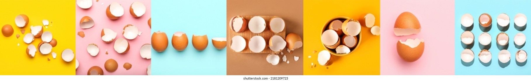 Collage Broken Egg Shells On Color Stock Photo 2181209723 | Shutterstock