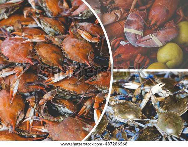 Collage Crabs Stock Photo 437286568 | Shutterstock