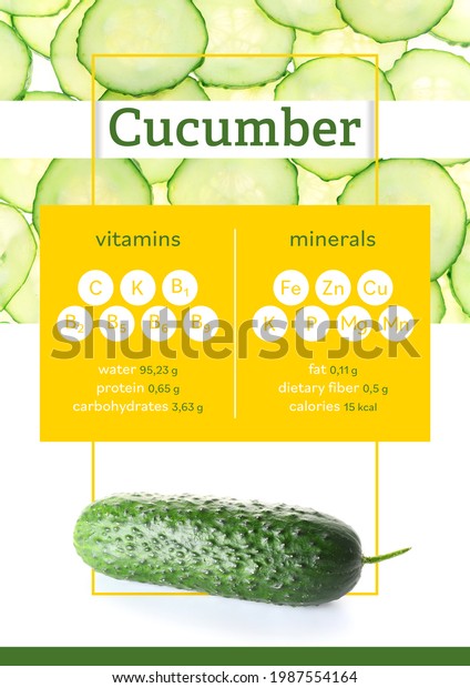 Collage Cucumber Specified Components On White Stock Photo 1987554164 ...
