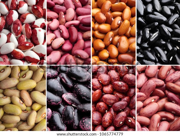 Collage Different Types Beansvarieties Beans Viewcloseuptexture Stock ...