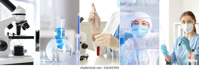 "Microscope collage" - 974 Ảnh, vector và hình chụp có sẵn | Shutterstock