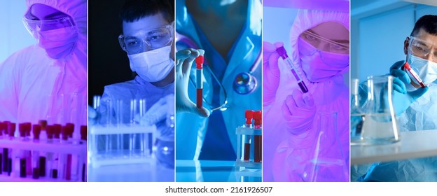 Collage Scientists Working Samples Laboratory Stock Photo 2161926507 ...