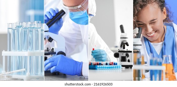 Collage Scientists Working Samples Microscopes Laboratory Stock Photo ...