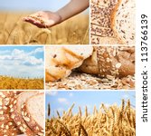 Collage Of Wheat And Bread PPT template 39 | CrystalGraphics