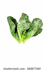 93 Steamed Collard Greens Images, Stock Photos & Vectors | Shutterstock