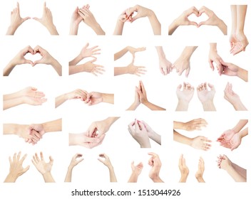 Collection Hand Multiple Set Both Hands Stock Photo 1513044926 ...