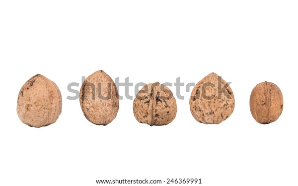 Collection Nuts Front View Stock Photo 246369991 | Shutterstock