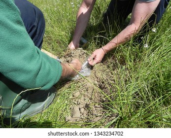 Collection Soil Sample Stock Photo 1343234702 | Shutterstock